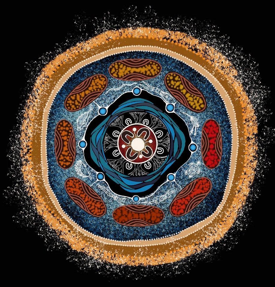 Coolamon Research Centre | Ngangk Yira Institute for Change